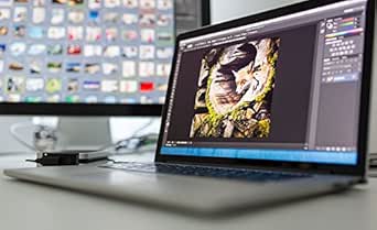 Amazon.com: Intermediate Photoshop CC : Software