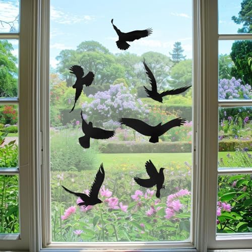 Amazon.com: LIKAGI Window Decals for Bird Strikes, Ring and Circle ...