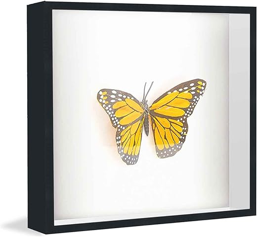 Amazon.com - 9x9 Shadow Box Frame Black | 1 Inch Deep Solid Wood ...