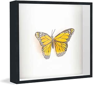 Amazon.com - 28x28 Shadow Box Frame Black | 1 Inch Deep Solid Wood ...