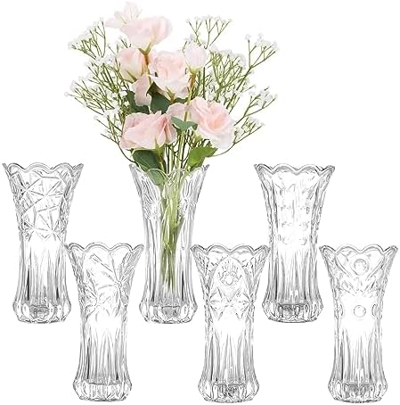 Amazon.com: Paisener Bud Vases Set of 12, Multiple Shapes of Small ...