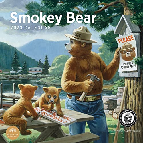 Top 21 Best Bear Calendars 2023 - CalendarBuy.com