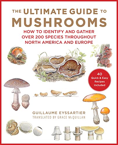 The Ultimate Guide to Mushrooms: How to Identify and Gather Over 200 ...