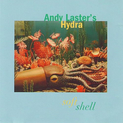 Play Soft Shell by Andy Laster on Amazon Music