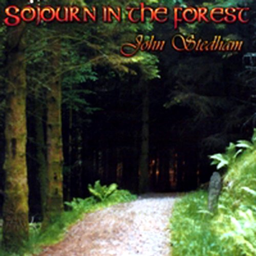Amazon.com: Sojourn In The Forest : John Stedham: Digital Music