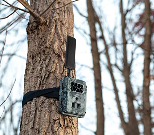 The 22 Best Spartan Hunting & Trail Cameras of 2026 [Verified] - Cherry ...
