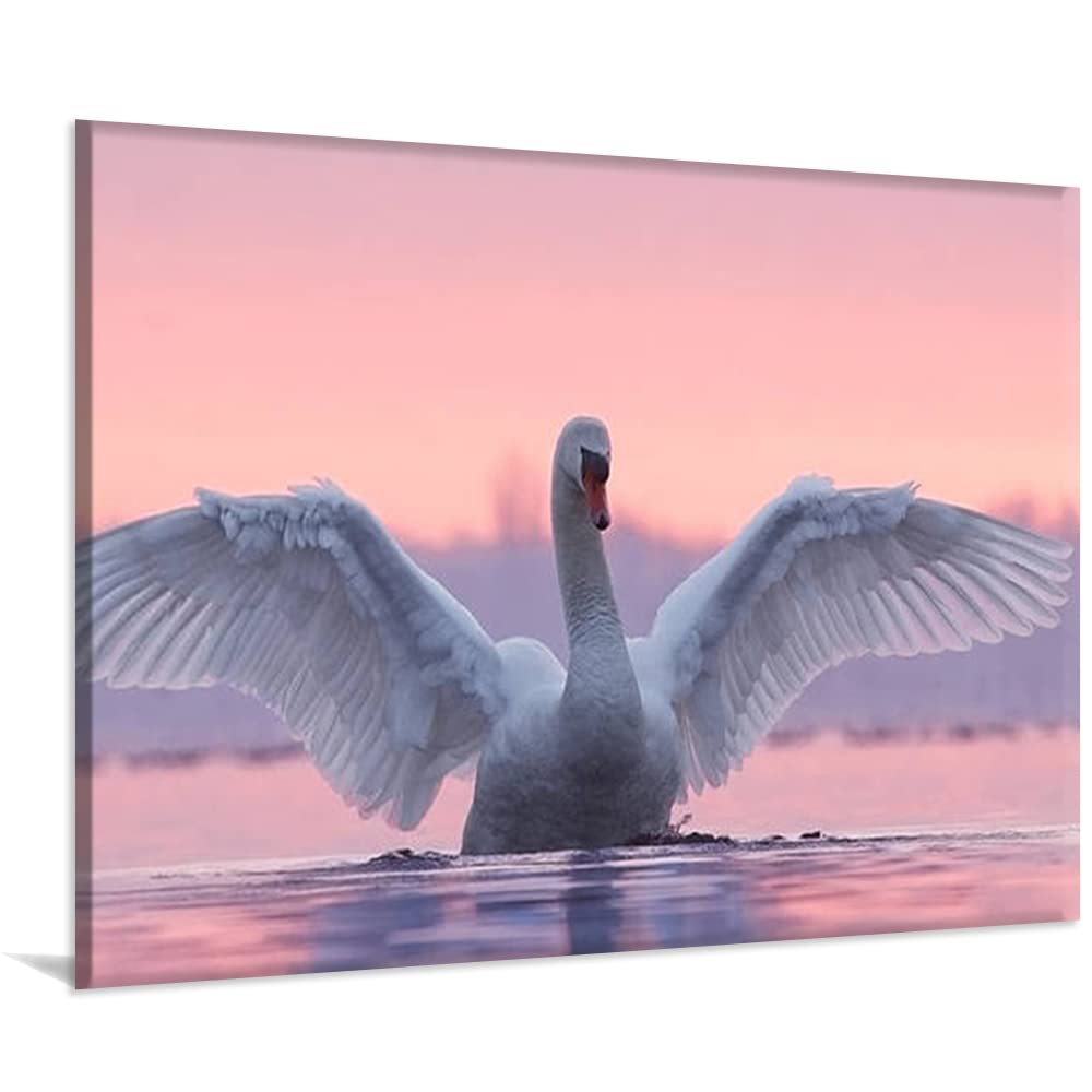 Swan Oil Painting