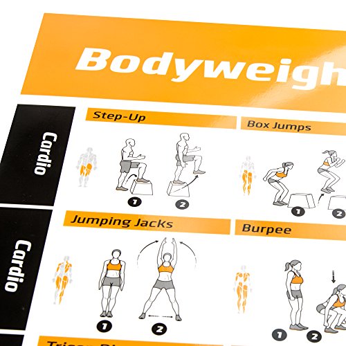 Bodyweight Exercise Poster - Total Body Workout - Personal Trainer ...