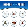 Amazon.com: Cutter Backwoods High DEET Insect Repellent 11 oz, Aerosol ...