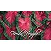 Amazon.com : Caladium Frieda Hemple,(6 Bulbs) Thrives in Heat and ...