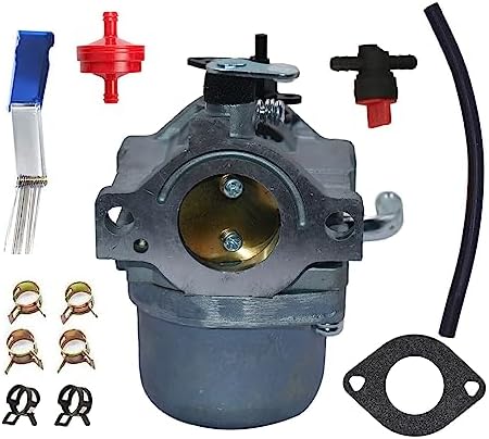 Amazon.com: 696065 697422 Carburetor for Briggs & Stratton Intek 190 ...