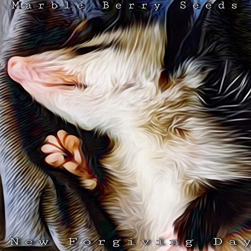 Play New Forgiving Day by Marble Berry Seeds on Amazon Music