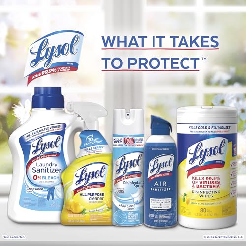 Snapklik.com : LYSOL Power Clean Multi-Surface Cleaner