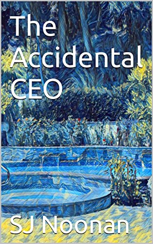 The Accidental CEO - Kindle edition by Noonan, SJ. Literature & Fiction ...
