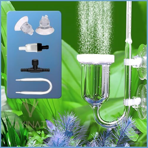 VAYINATO Nepall (Small-2.5cm Dia) Micro Bubbles Glass Airstone, Nano Bubble Diffuser High ...