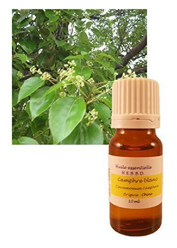 Camphre : propriétés, utilisation, contre-indications