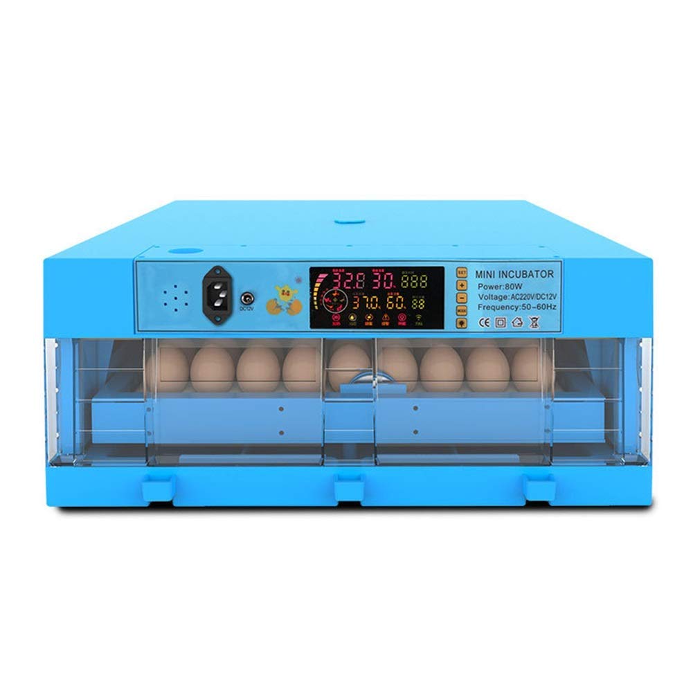 Buy Incubator 64 Eggs Poultry Hatcher, Brooder Automatic Turning ...
