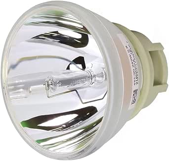 Amazon.com: PHO Original Projector Lamp Bulb for SP-LAMP-105 for ...