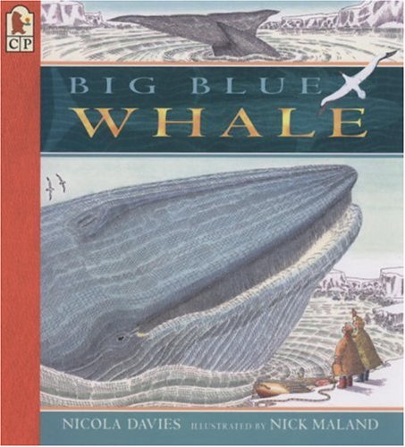 Big Blue Whale Big Book: Read and Wonder: Davies, Nicola, Maland, Nick ...