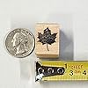 Amazon.com: Leaf and Acorn Rubber Stamps, Fall Rubber Stamps : Arts ...