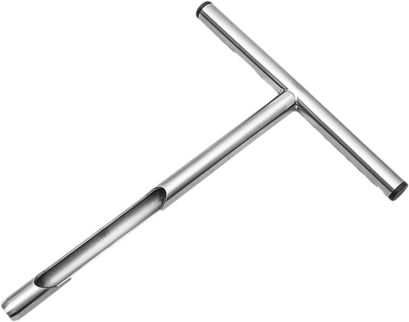 Amazon.com: Soil Sampling Probe - Stainless Steel Soil Tester, Lawn ...