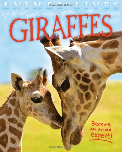 Animal Lives: Giraffes: Morgan, Sally: 9781781715307: Amazon.com: Books