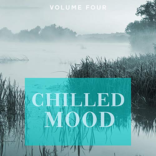 Play Chilled Mood, Vol. 4 (Wonderful Calm Electronic Beats For Chilling ...
