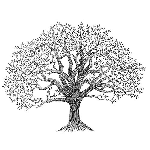 Play Ground Is Gone by Annie Sinclair on Amazon Music