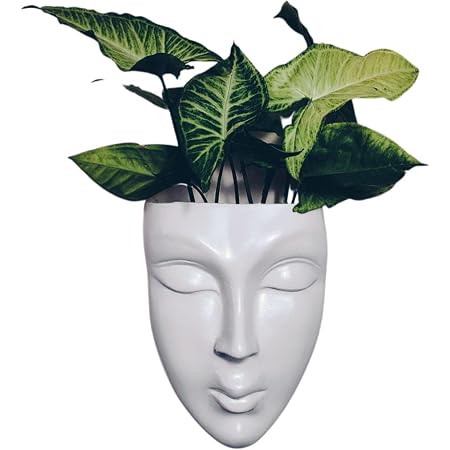 DZIGN Face Planter, White Head Planter for Home Decor and Garden ...