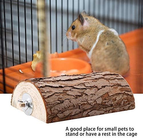 Sheens Long Board Platform Parrot Perches Stand Hamster Springboard ...