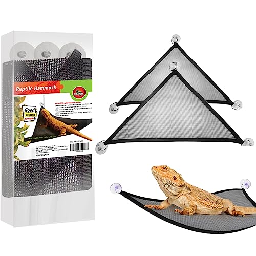 10 Best Lizard Hammocks: A Comprehensive Buying Guide for Reptile ...