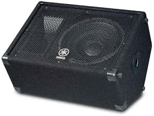 Amazon.com: Yamaha BR12M 12 Loudspeaker Monitor System : Musical Instruments