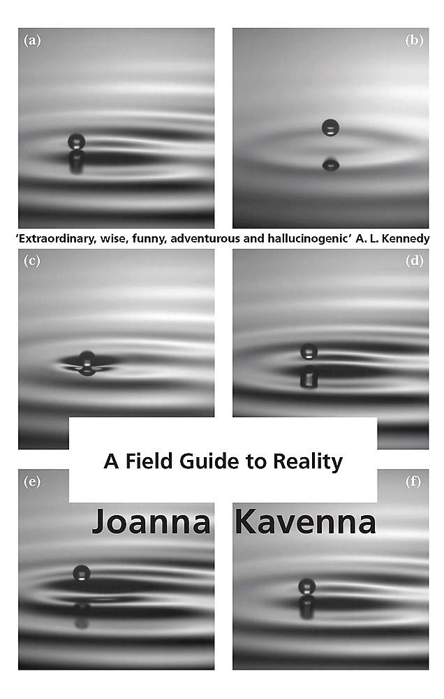 A Field Guide to Reality: Amazon.co.uk: Kavenna, Joanna, Ralfe, Oly ...