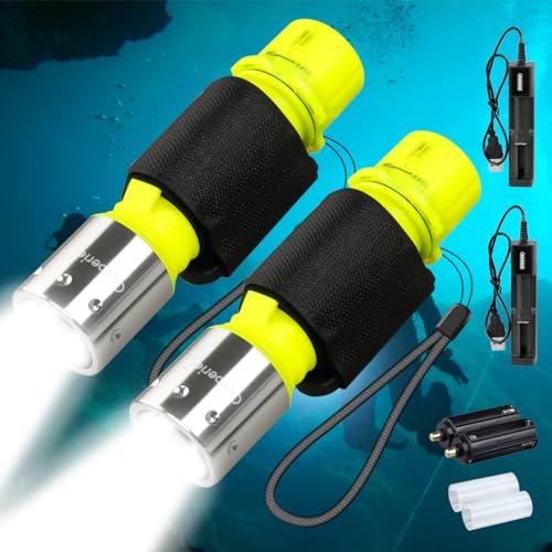 Dive Lights – The 16 best products compared - Outdoors Magazine