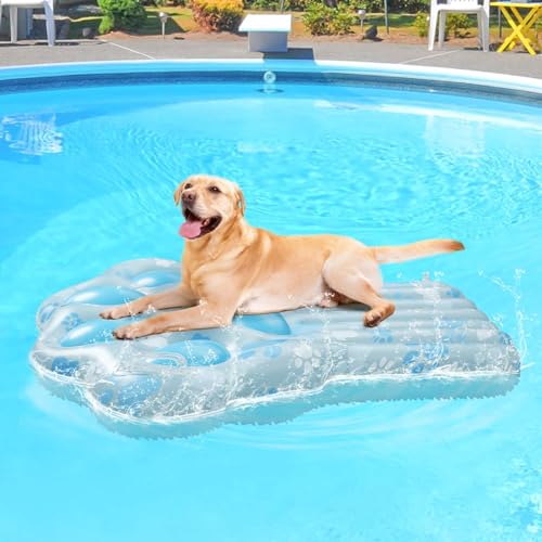10 Best Pool Floats For Dogs