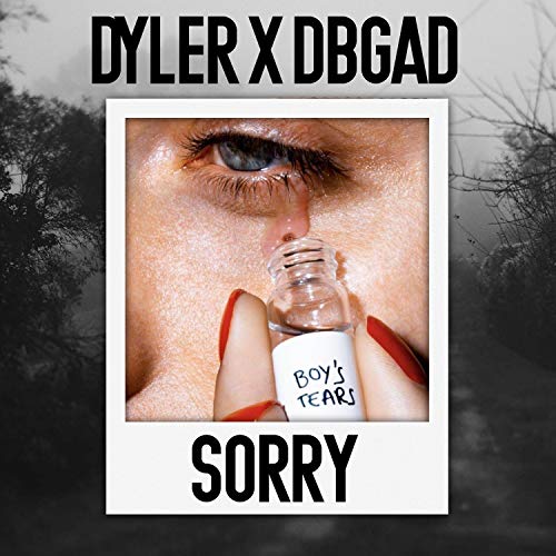 Amazon.co.jp: Sorry (feat. DB GAD) : Dyler: Digital Music