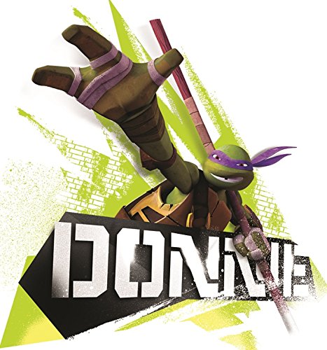Ninja Turtle Stick