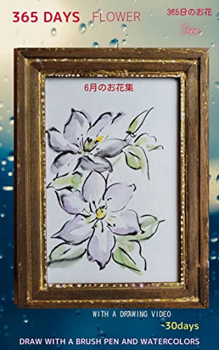 Amazon.com: 365 days flower How to draw video June issue: Flowers drawn ...