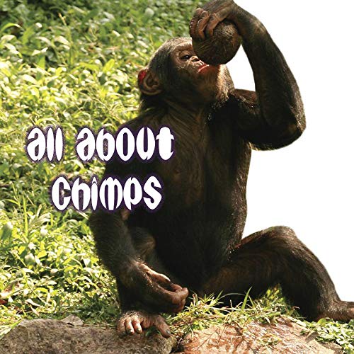 All About Chimps (Animal Board Books): Rodriguez, Cindy: 9781604724547 ...
