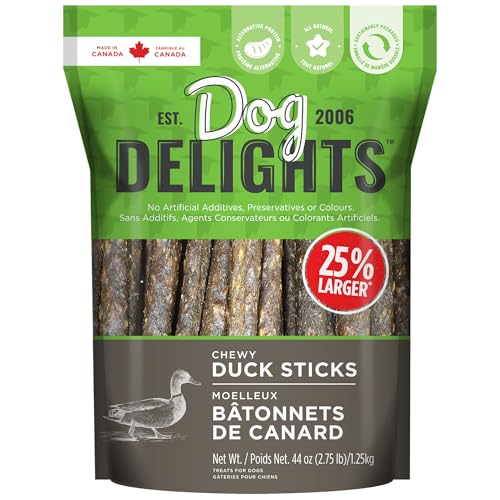 10 Best Dog Treats: Top Choices for Your Beloved Pet