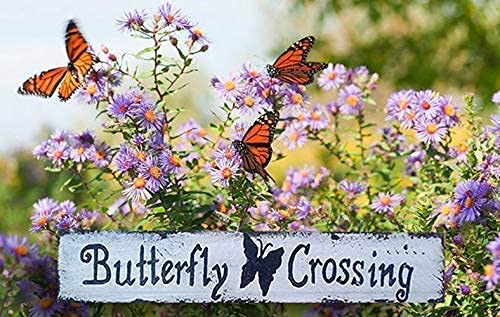 Amazon.com: Butterfly Crossing Wood Sign Spring Garden Outdoor Decor G2 ...