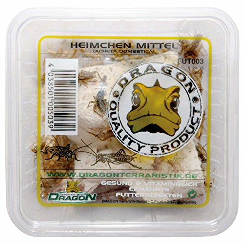 Heimchen Kaufen – Die 15 besten Produkte im Vergleich & Angebote ...
