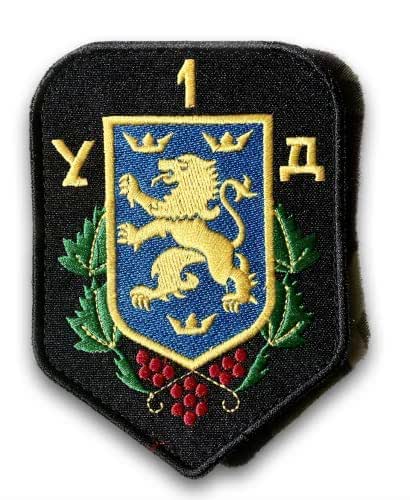 Amazon.com: Ukrainian Halychyna Army Patch Ukrainian Army Chevron ...