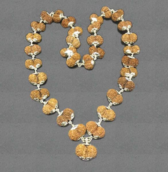 Venus Gems Gallery Shahi Indrani Mala Gauri Shankar Rudraksha & Ganesha ...