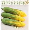 Amazon.com: XZJMY 6Pcs Artificial Corn Thanksgiving Fake Corn Plastic ...