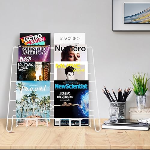 Amazon.com: NEESEEYEE Wire Magazine Rack with 4 Open Tiers, Holds Both ...