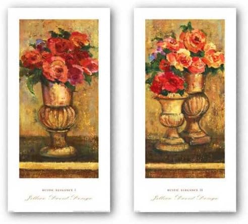 Amazon.com: New York Graphics Rustic Elegance Set by Jillian David ...