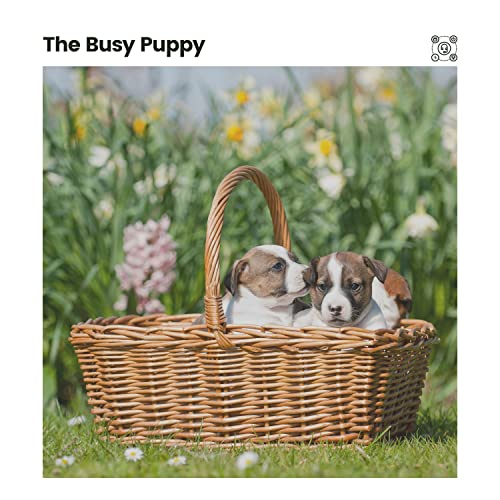 Play The Busy Puppy by Sleeping Music For Dogs & Puppy Music on Amazon ...