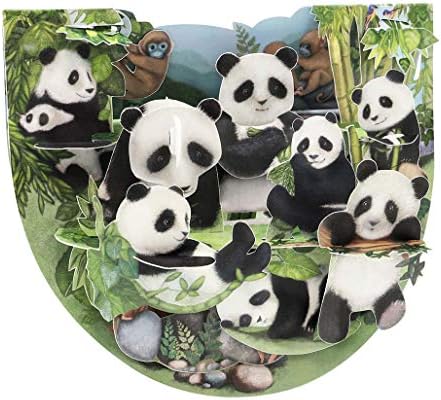 SANTORO PopnRock, 3D Pop Up Greeting Card - Pandas - For Her, Him, Kids ...