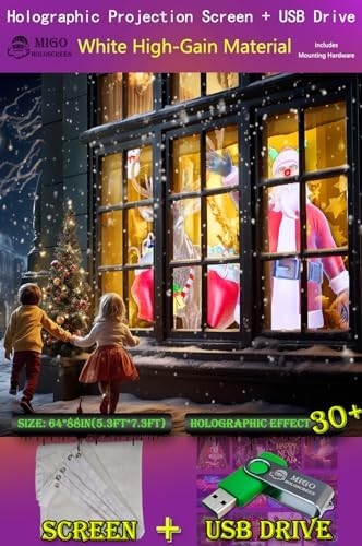 Amazon.com: The Original Virtual Santa in The Window Movie on USB with ...